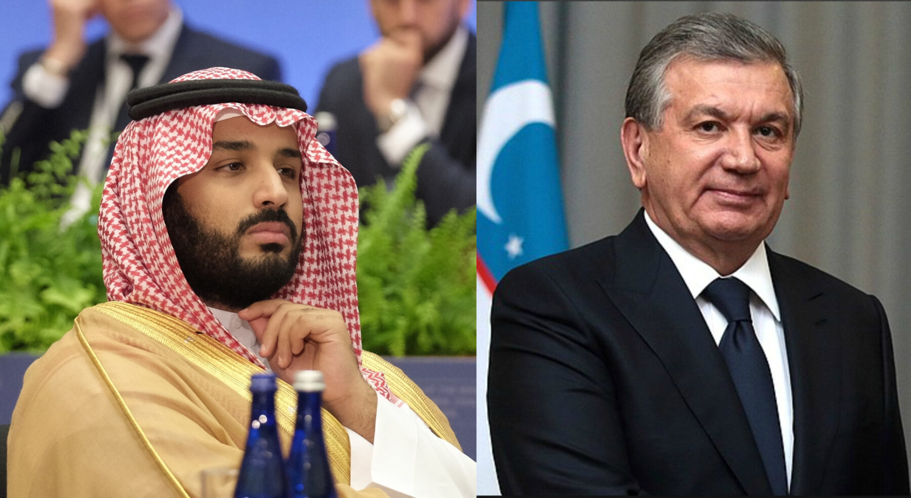 Reform or reshuffle? A comparative glance at Saudi Arabia and ...